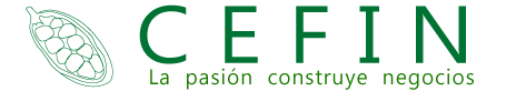 CEFIN Asesoria Financiera
